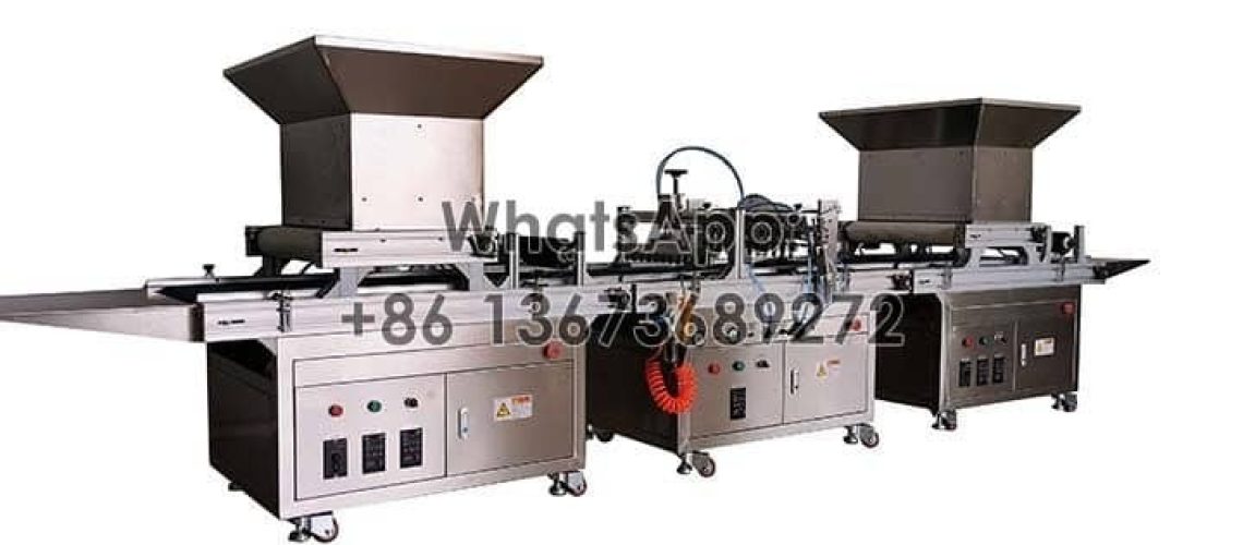 Automatic Seeding Machine | Vegetable Nursery Seeding Machine, Taizy